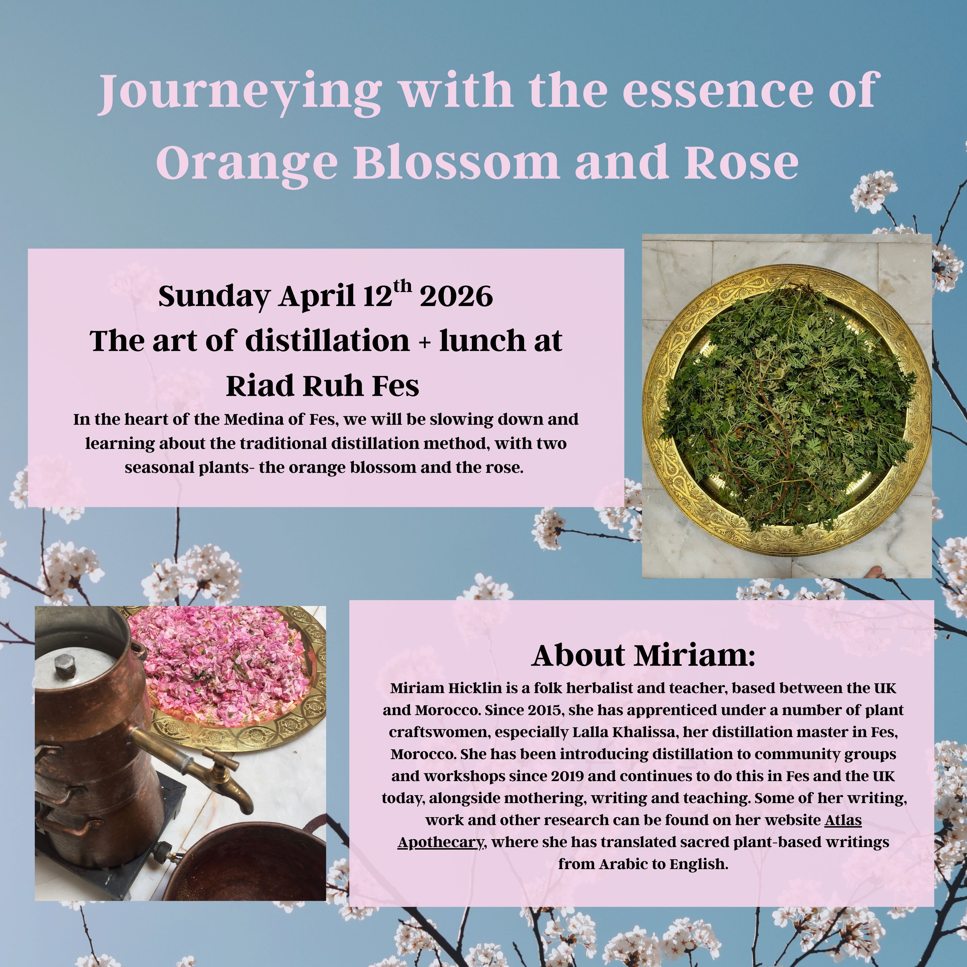 Journeying with Orange Blossom and Rose – The Atlas Apothecary Sourcebook